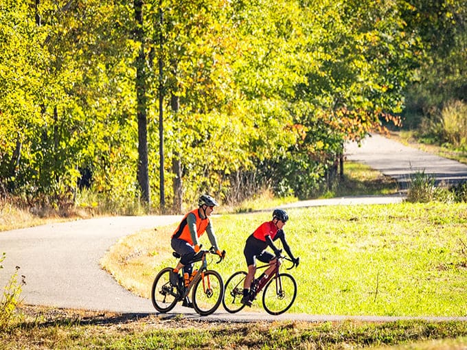 Two cyclists discover that sometimes the best conversations happen side-by-side rather than face-to-face, with nature providing the perfect backdrop.