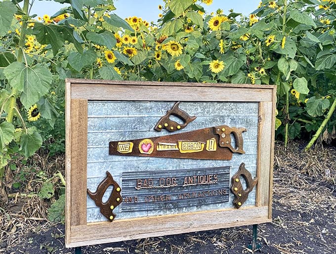 Community spirit displayed among the blooms &ndash; this decorative signboard connects visitors to the heart of Gibbon beyond the fields.