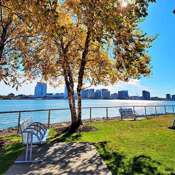 Autumn paints the RiverWalk in golden hues, creating a perfect spot for contemplation as the Detroit River flows steadily toward Lake Erie.