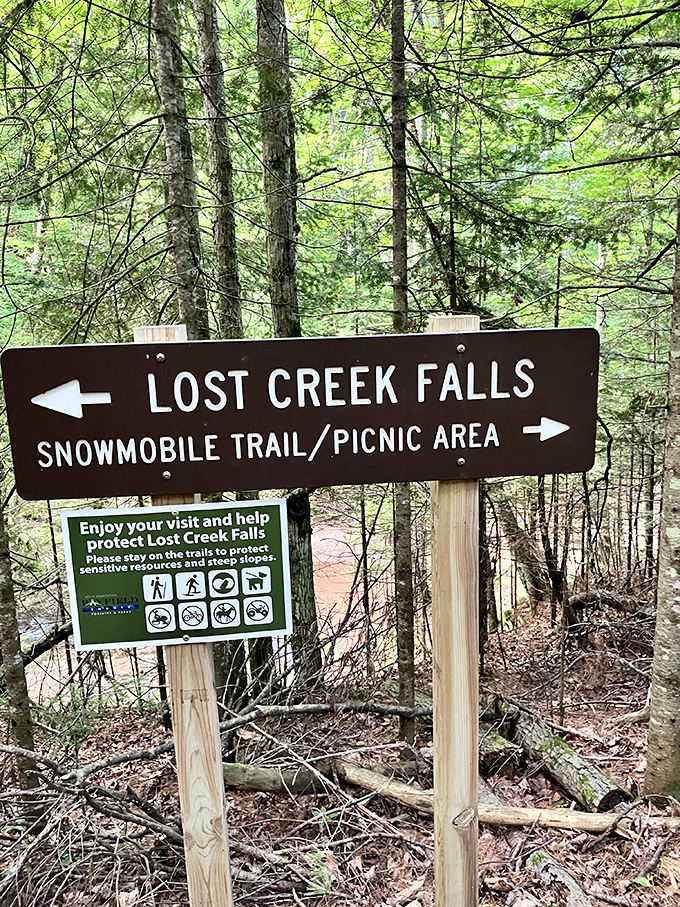 Autumn's paintbrush turns Lost Creek into a canvas of gold and amber, where water mirrors the seasonal transformation above.