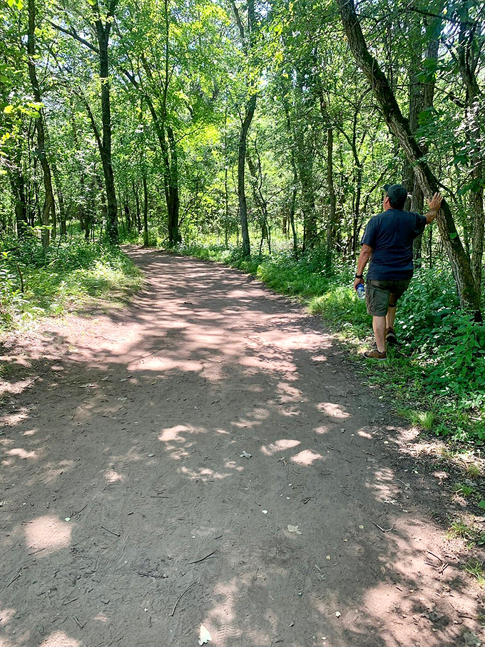 Shaded dirt paths meander through dense woodland, offering glimpses of local wildlife for observant hikers on their way to the falls.