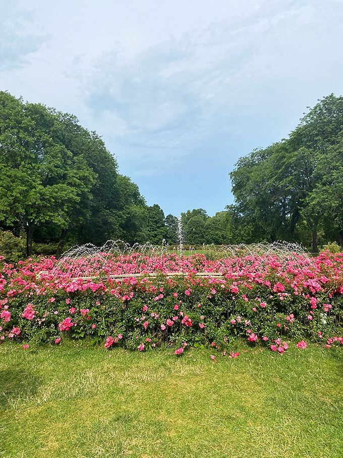 The fountain serves as a focal point and gathering spot, adding the soothing sound of water to an already peaceful garden experience.