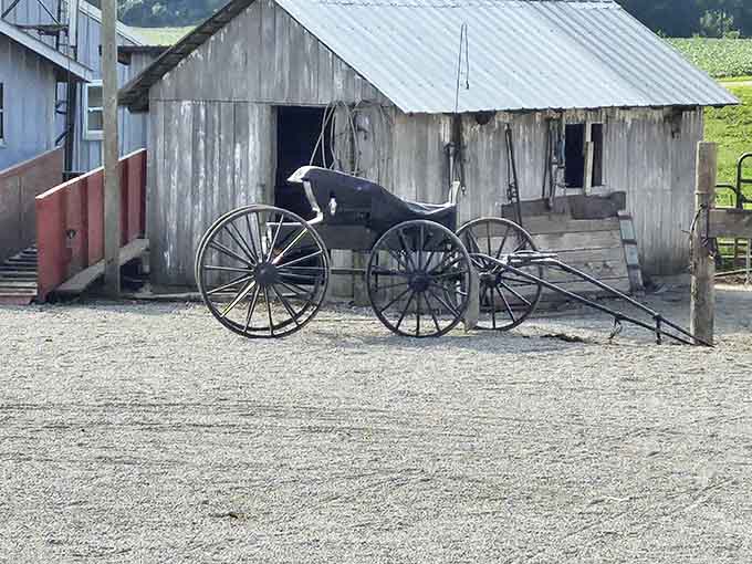 Traditional transportation parked outside traditional buildings. Horse-drawn buggies remind us of the hands that craft these delicious treats.