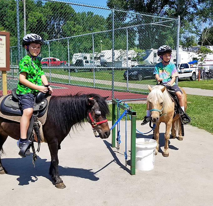 Gentle steeds carrying precious cargo along scenic trails. Nothing builds confidence quite like commanding a thousand-pound animal to "giddy up, please."