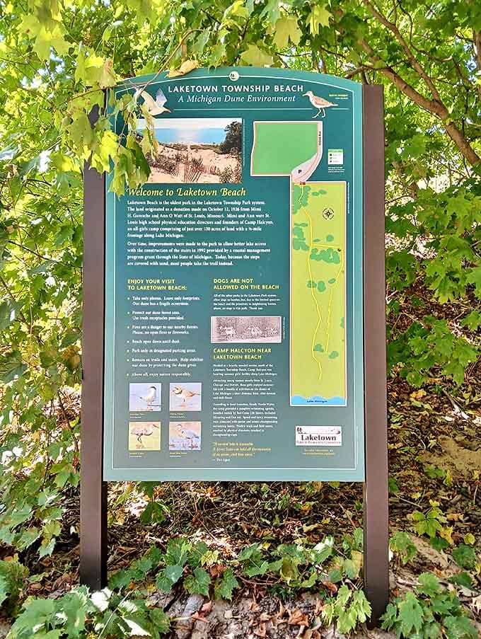 Nature's classroom on display &ndash; these informational boards teach visitors about the delicate dune ecosystem they're privileged to explore.