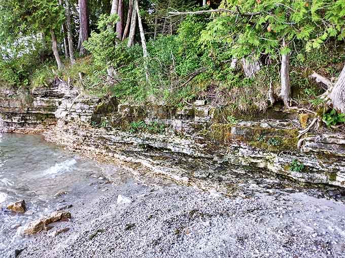 Layered limestone tells Earth's autobiography one sedimentary page at a time, with waves as the persistent reader turning each page.