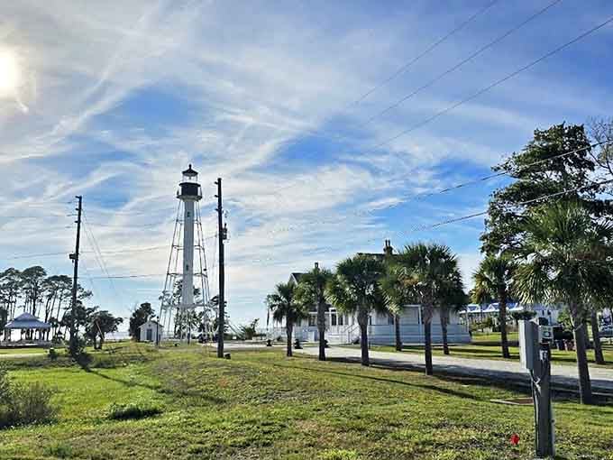 Palm trees frame the lighthouse like nature decided to add some tropical flair to the maritime historical scene for aesthetic purposes.