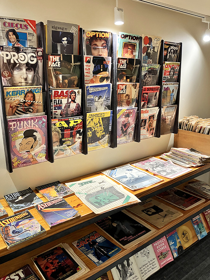 Vintage magazines create a colorful time capsule of cultural history, from punk zines to progressive rock journals.