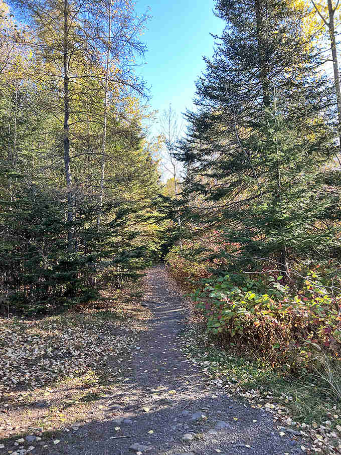 The path less photographed but equally magnificent. Every step toward the summit builds anticipation for the grand reveal.