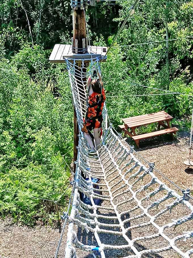 The net bridge sways with each step, creating a dance between confidence and caution high above the forest floor.