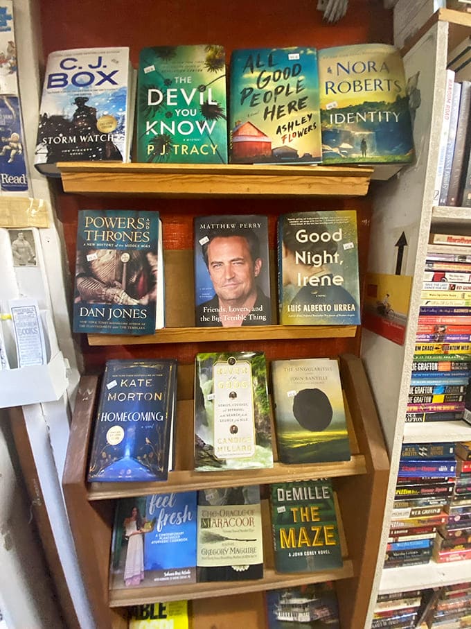 From bestsellers to hidden gems, these shelves hold enough reading material to last several lifetimes of rainy afternoons.