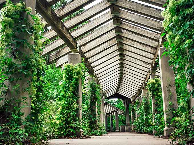 The park's pergola creates a shaded green tunnel that looks like it was plucked straight from a Victorian romance novel.