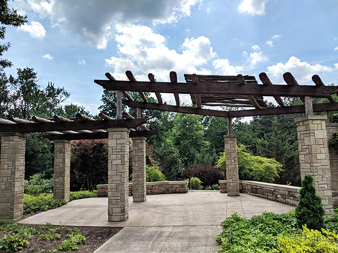 The sign marks your arrival at the Judith and Maynard H. Murch IV Canopy Walk &ndash; your passport to treetop exploration