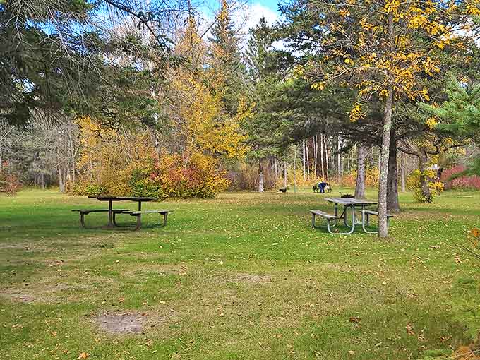 11. picnic area