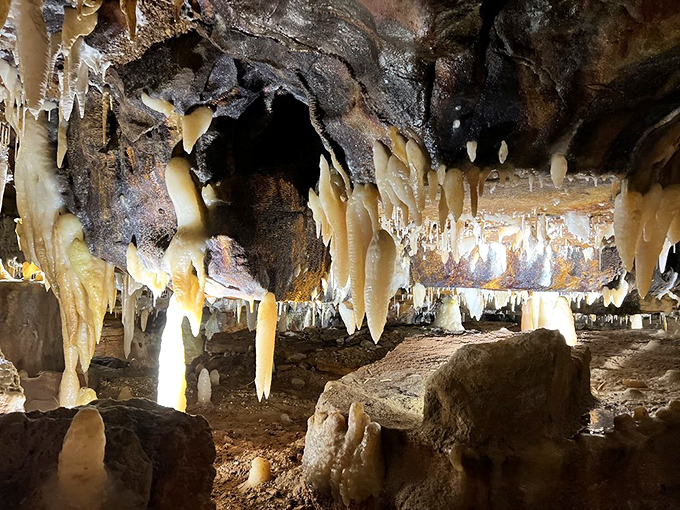 Intricate ceiling formations showcase the incredible variety of shapes and textures that mineral-rich water can create over thousands of years.