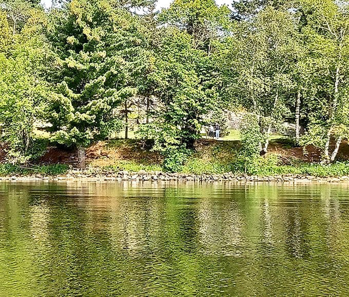 The gardens' shoreline setting provides a serene backdrop of rippling water and verdant forest, the perfect frame for appreciating this unusual artistic vision.