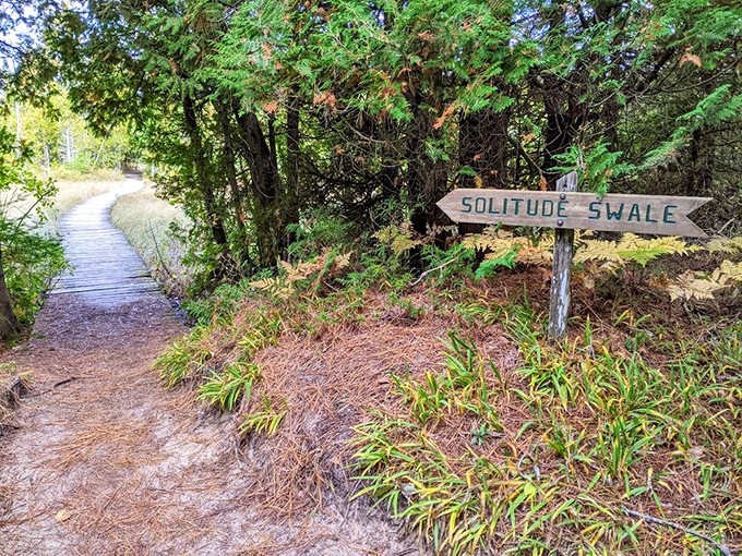 A wooden sign points to "Solitude Swale" &ndash; because sometimes the best destinations are the ones that promise a little peace and quiet.