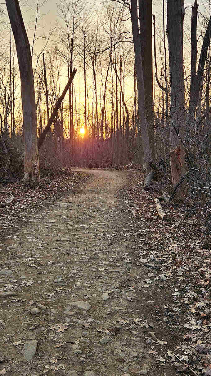Sunset casts golden light through the trees along this trail, creating a magical pathway that seems to lead to adventures unknown.