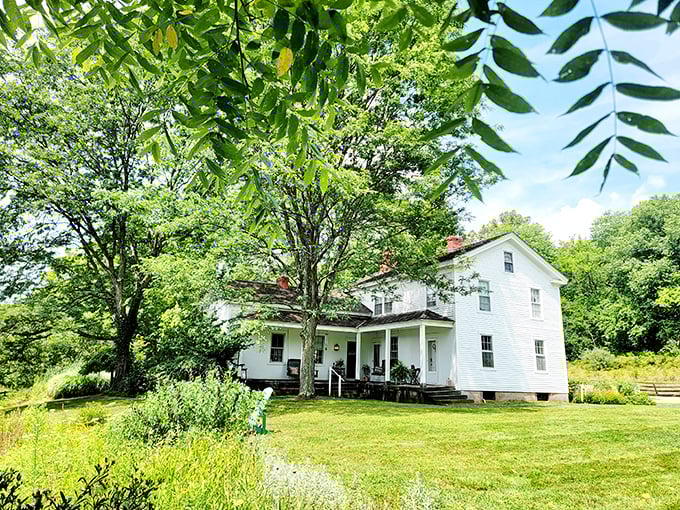 The historic white farmhouse stands as a sentinel of simpler times, surrounded by Ohio's lush summer greenery.