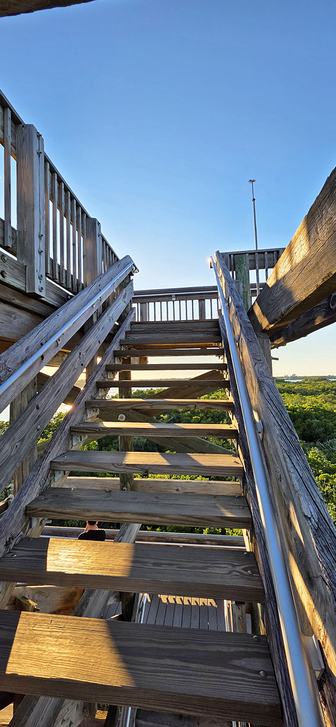 Looking up the tower stairs reveals the promise of spectacular views &ndash; nature's reward for a bit of cardio.