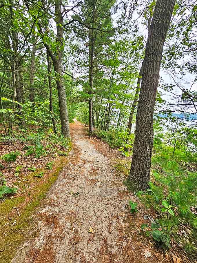 Winding through towering pines, this trail promises adventure with every turn, whispering secrets of the forest to those who listen.