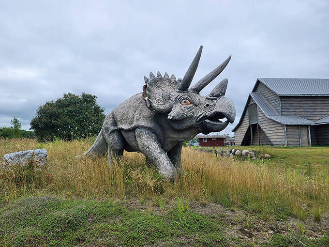 This triceratops stands guard in the tall grass, patiently waiting for its close-up with excited young paleontologists.