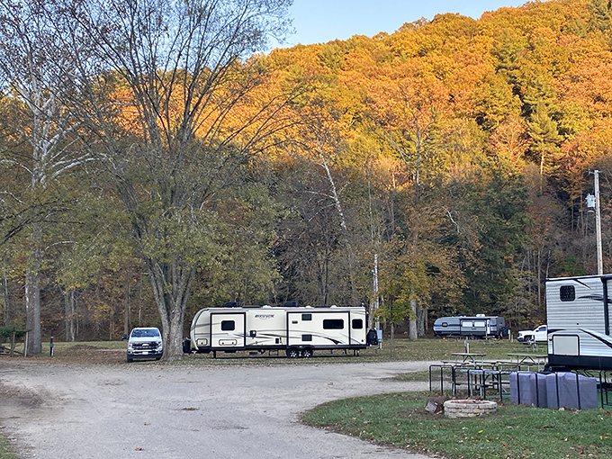 Wally World Riverside Resort provides campers with front-row seats to nature's show &ndash; complete with occasional wildlife cameos.