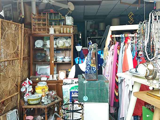 Every shelf holds potential discoveries, from vintage kitchenware to the perfect gift for that friend who "has everything."