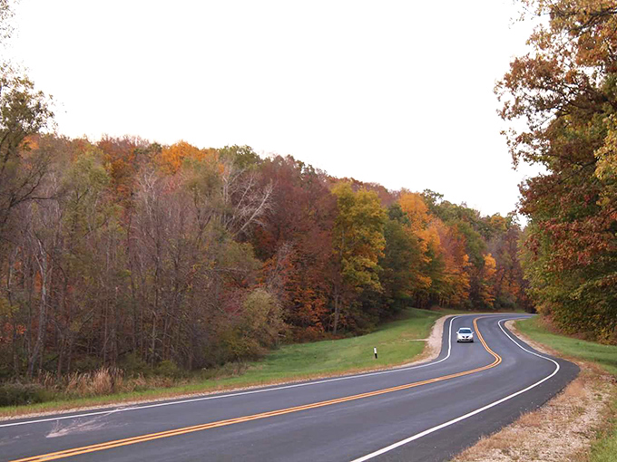 Fall's fiery palette paints the perfect backdrop for motorcycle enthusiasts seeking the road less traveled.