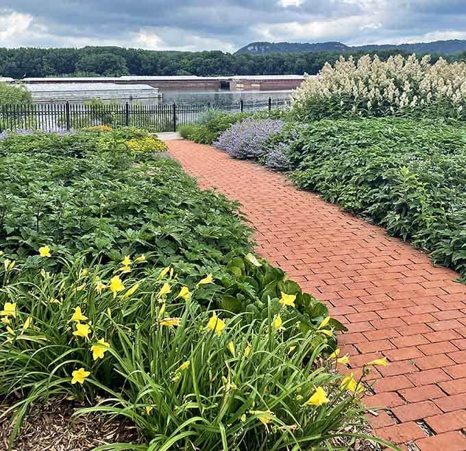 Beautiful landscaping: Brick pathways wind through native plantings, creating a living gallery where yellow daylilies nod in the breeze against the backdrop of Minnesota's bluffs.