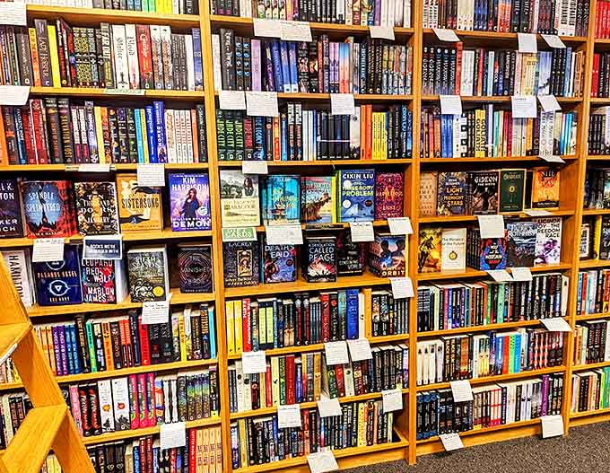 Those handwritten staff recommendations? Pure gold. Like getting reading advice from your most well-read friend.