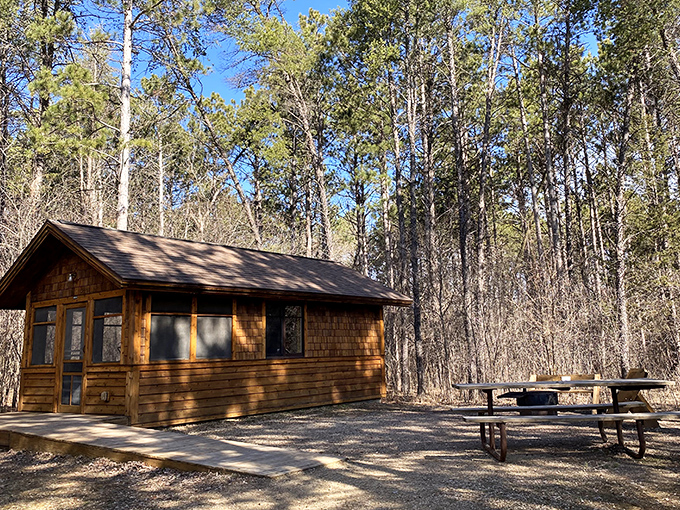 This rustic cabin offers wilderness with a roof, where the luxury isn't thread count but the symphony of forest sounds outside.