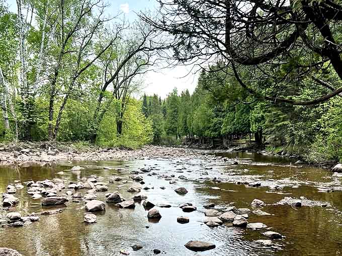 The gentle babble of the creek below the falls provides nature's perfect soundtrack for an afternoon of peaceful contemplation.