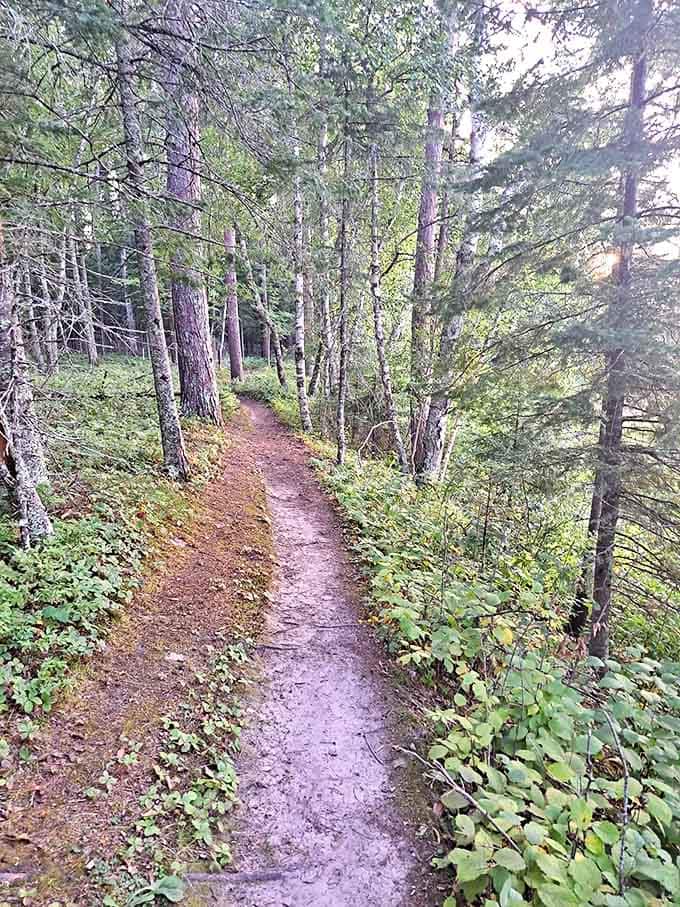 This unassuming path has witnessed centuries of footsteps, from moccasins to modern hiking boots with unnecessary tech features.