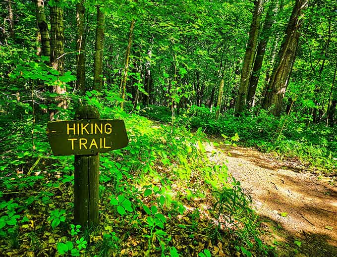 Simple wooden signs mark the way through emerald undergrowth, like breadcrumbs leading to natural treasures waiting to be discovered.