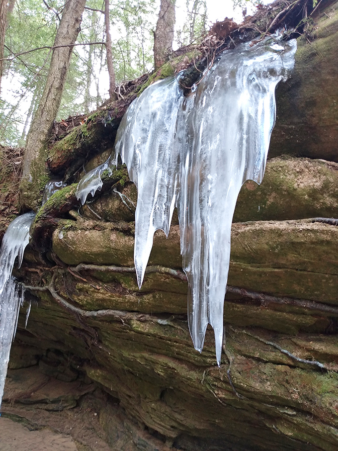 Winter's artistic touch transforms falling water into crystalline sculptures, nature's chandeliers hanging from moss-covered stone ledges.