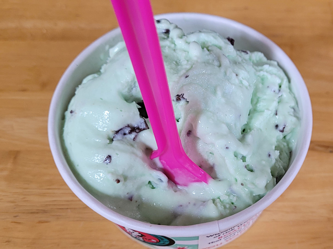 Mint chocolate chip that tastes like it was churned by angels who understand the perfect balance between refreshing and indulgent.