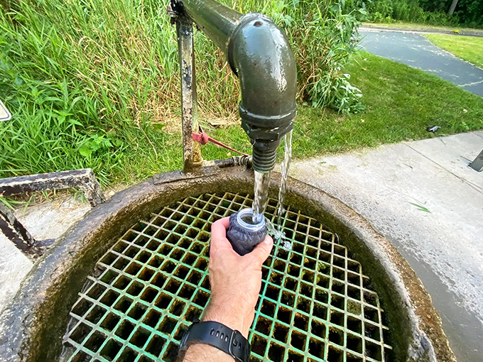 Crystal clear refreshment bubbles forth from this trail-side oasis &ndash; nature's original hydration station predating fancy water bottles.