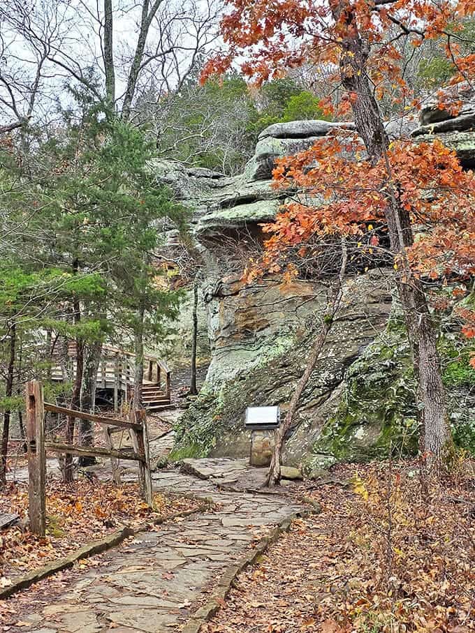 The road less traveled: Tree-lined paths invite exploration beyond the main beach area.