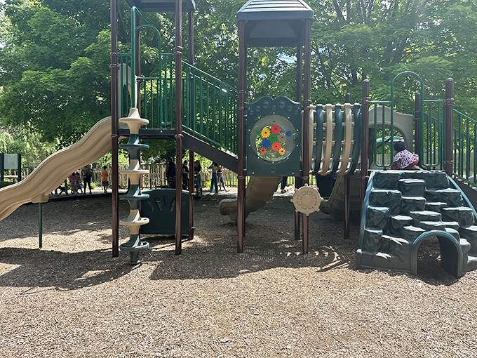 Adventure awaits young explorers at this playground, where kids can burn off excitement between animal encounters.