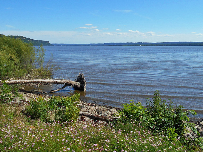 Wildflowers and driftwood create nature's perfect shoreline arrangement&mdash;no interior decorator could improve on this Mississippi masterpiece.