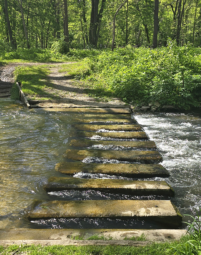 Stepping stones cross a shallow stream in the park, offering a playful way to traverse the water without getting your feet wet.