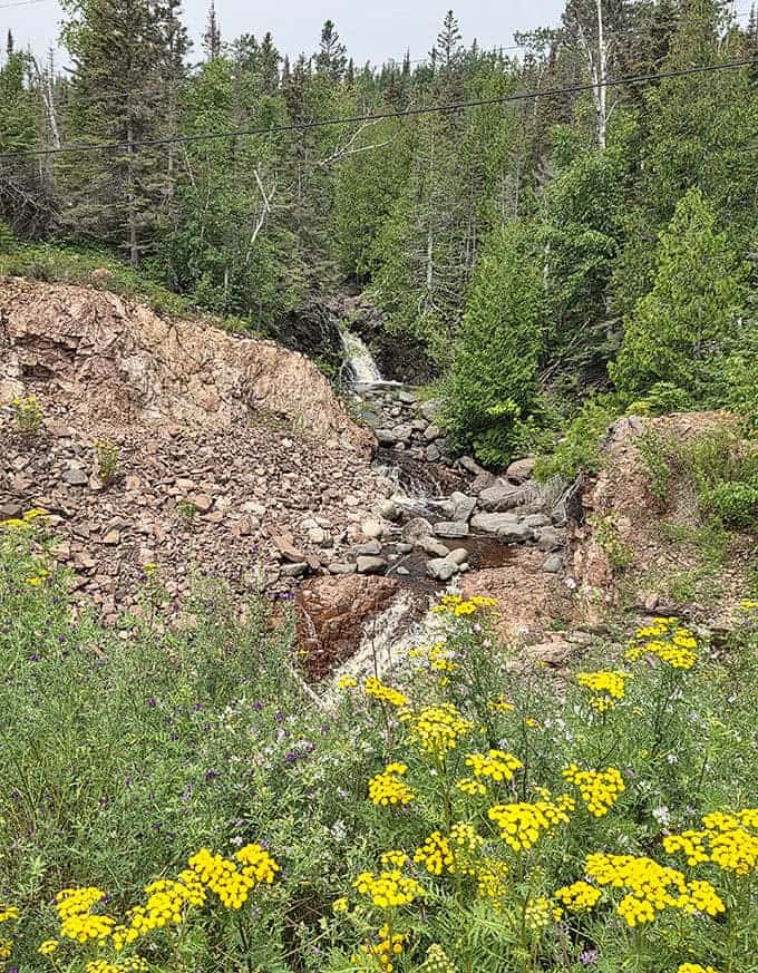Wildflowers add splashes of sunshine yellow to the riverbank, nature's way of accessorizing its waterfall outfit.