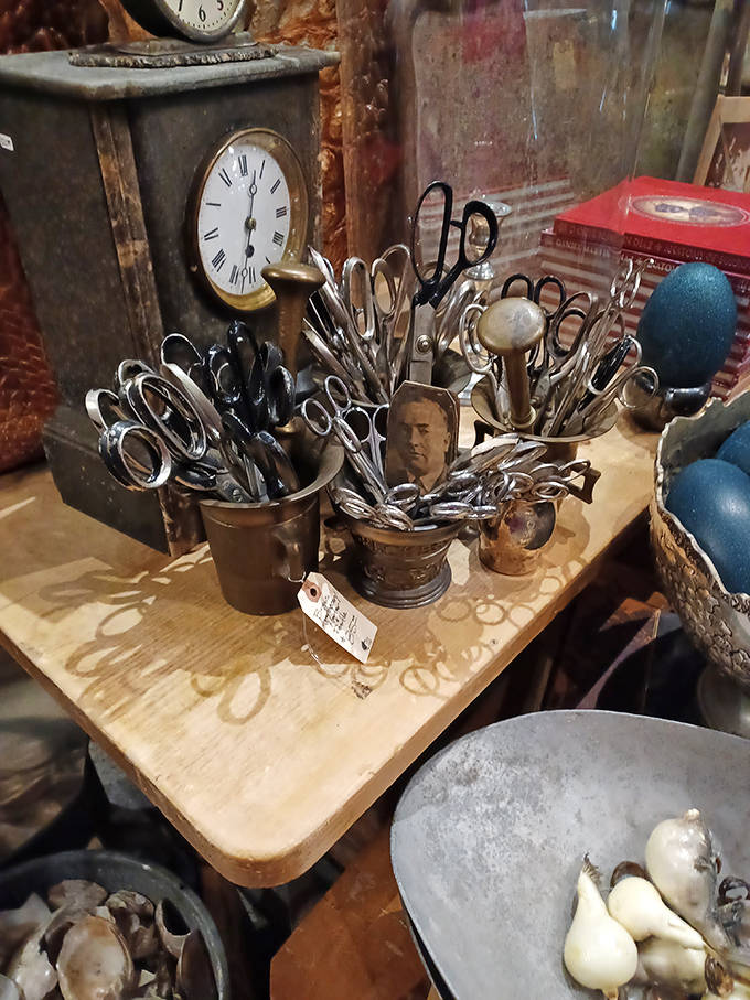 Vintage scissors stand at attention in their brass containers &ndash; surgical implements from an era when medical tools were crafted with artistic flair.