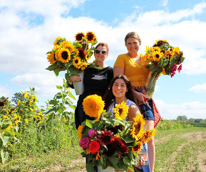 Happy flower enthusiasts gather their freshly cut sunflower bouquets, their smiles as bright as the blooms they've carefully selected.