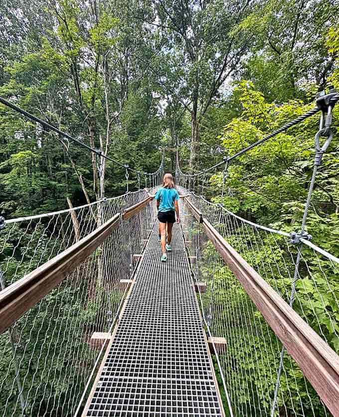 The slight bounce of the suspension bridge adds a touch of adventure to the journey, making every step a gentle reminder of being airborne.