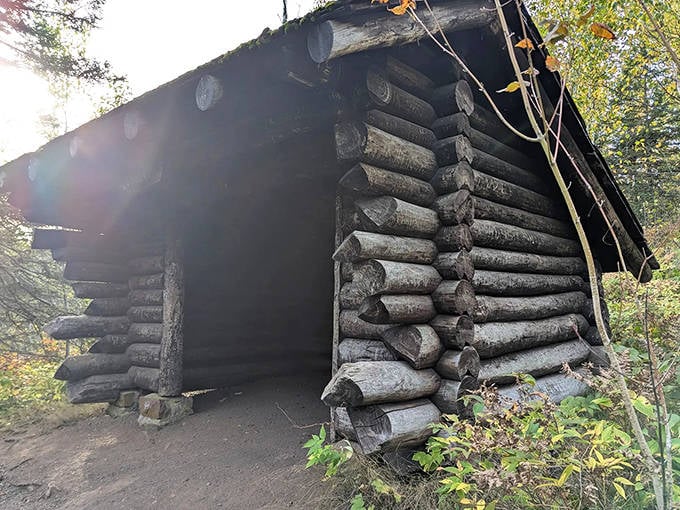 This historic log shelter, built by the Civilian Conservation Corps, has welcomed tired hikers seeking respite for nearly a century.