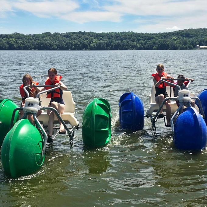 Pedal-powered water exploration vehicles that somehow make exercise feel like play. The lake's version of a leisurely Sunday drive.