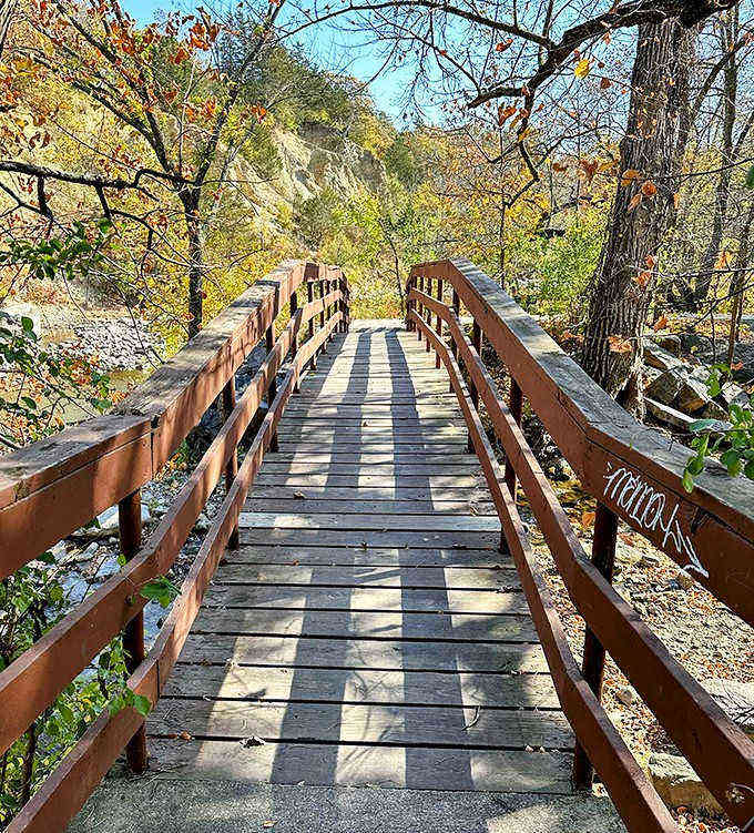 Autumn paints the boardwalk with dappled sunlight, creating a golden pathway that practically begs for a leisurely stroll.