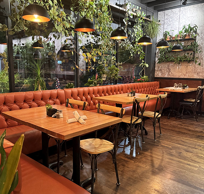 Greenhouse-inspired dining area where plants cascade from above &ndash; nature meets nurture in this lush, inviting space.